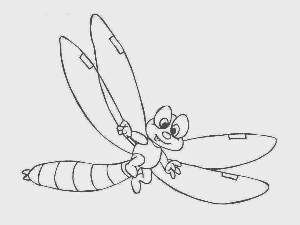 Planse de colorat si fise pentru copii: LIBELULA - PLANSE de colorat cu ...