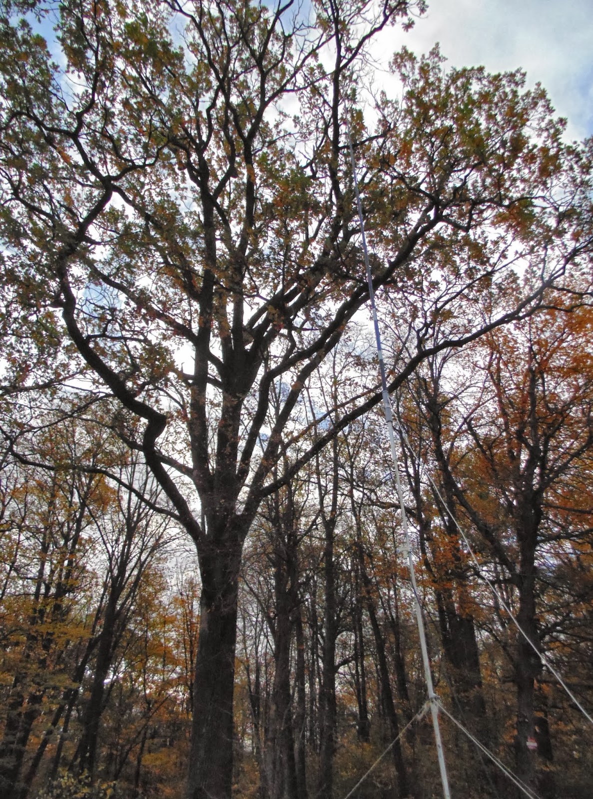 IMPRESII DESPRE MAREA EXPEDITIE IN SUDUL ROMANIEI ~ ASOCIATIA ...