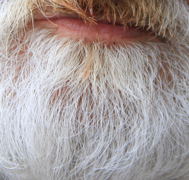 Grifo Planante: PÊRA E BIGODE