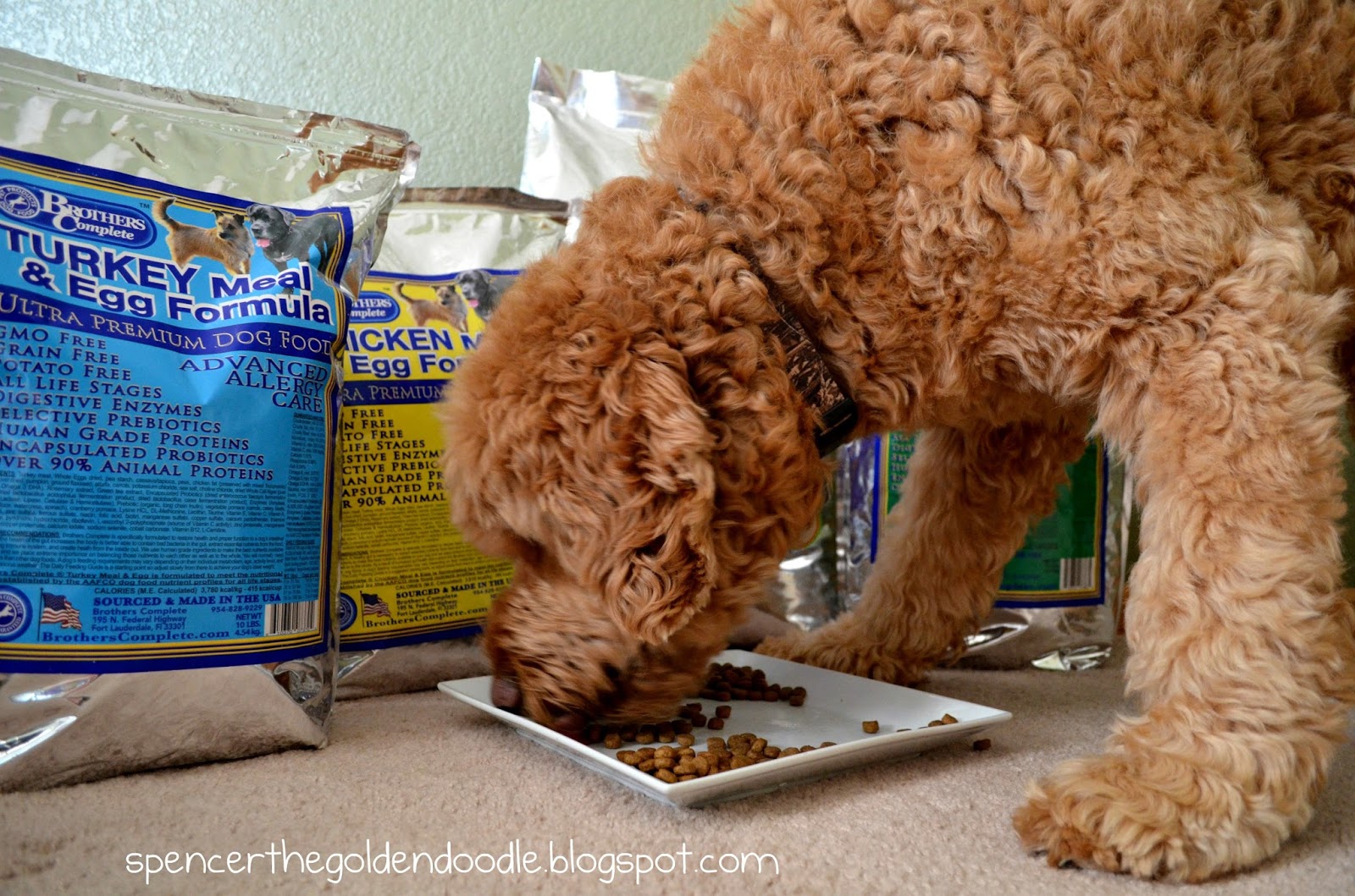 Spencer the Goldendoodle: Brothers Complete Review and Giveaway