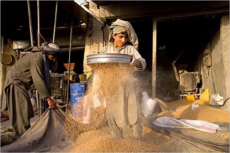 Tiempo de Restauración de la Verdad: Qué función tiene el zarandeo?