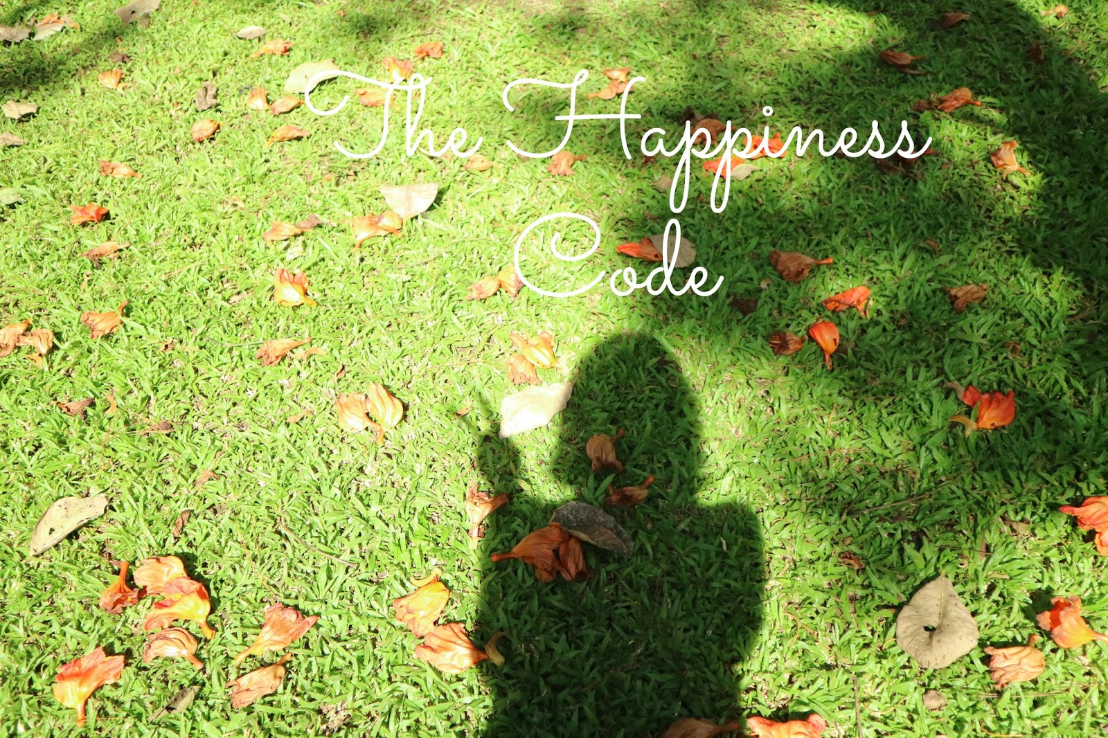 The Happiness Code - ARTSY FARTSY AVA