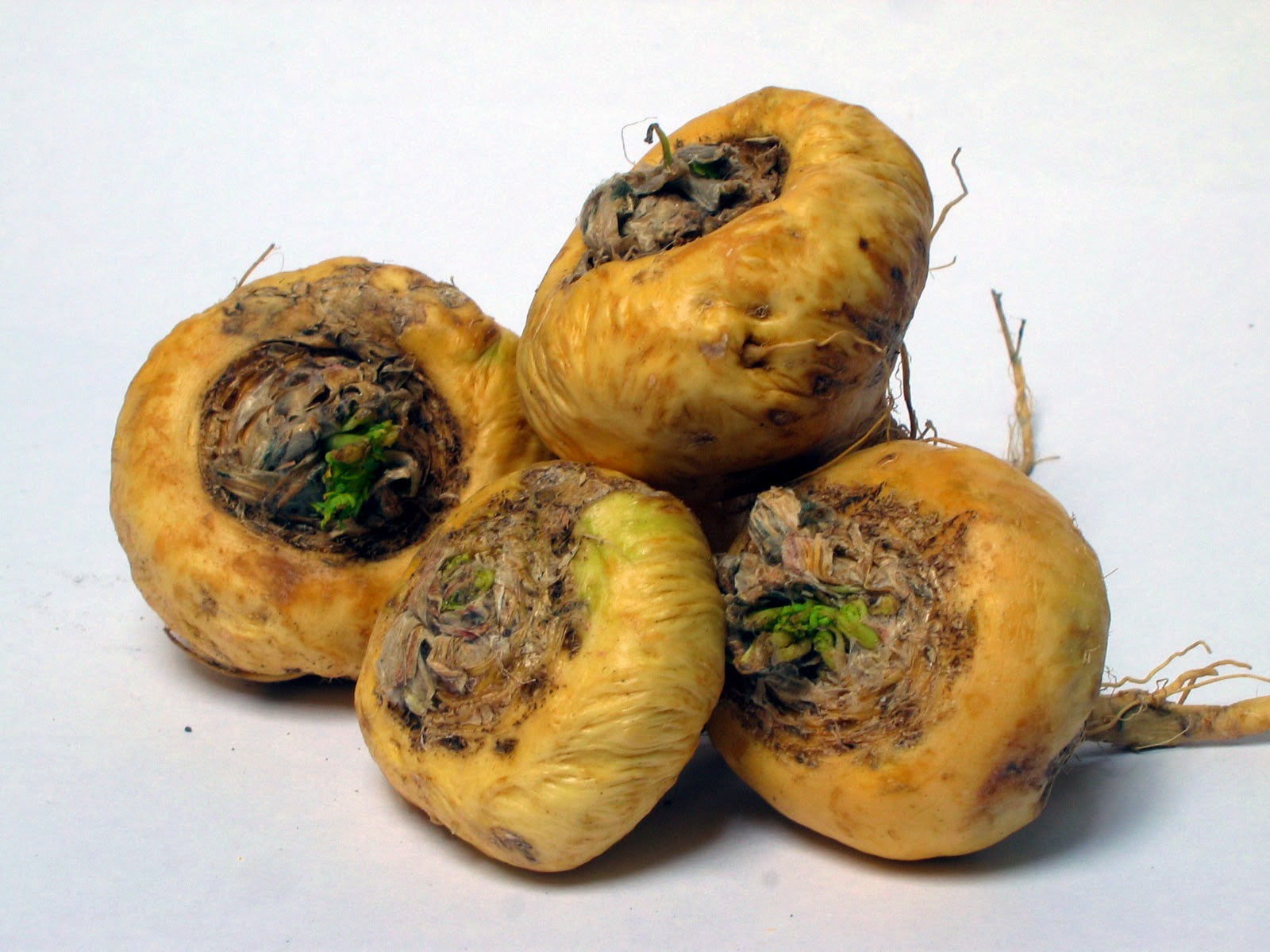 BOLIVIA... LO MEJOR QUE TENEMOS: LA QUINUA INGRESA AL MENU DE LOS ...