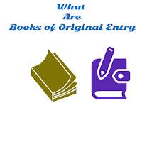 What Are Books of Original Entry