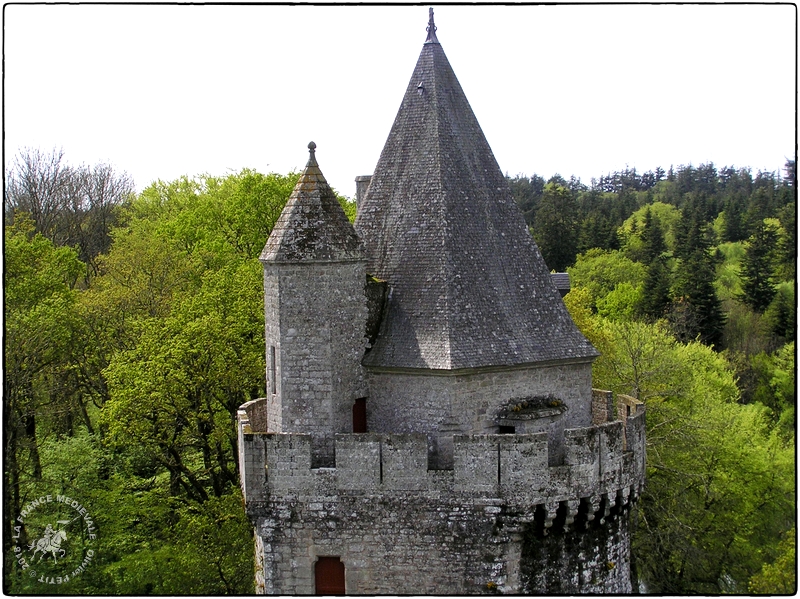 LA FRANCE MEDIEVALE: ELVEN (56) - Château-fort de Largoët : Tour ronde ...