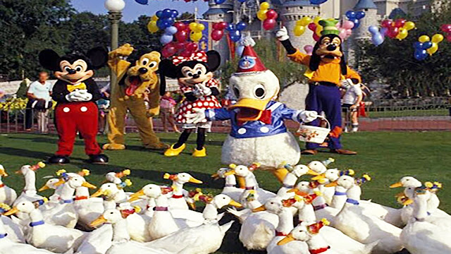 Disney Avenue: The Story Behind Donald Duck and the 50 Real Ducks That ...