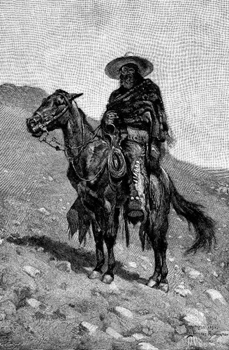 Buckaroo Leather Horse Tack, Use, Care and Maintenance: Horse Training ...