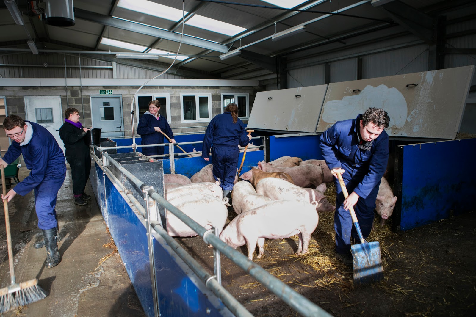 Teesdale Mercury: Agricultural courses offered by Teesdale School after ...