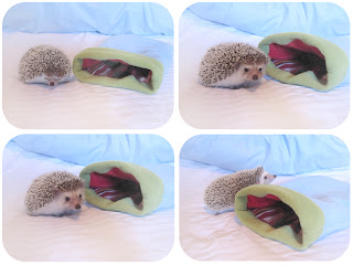 Poggy's Special Inside-Out Pouch : Behind Mytutorlist.com