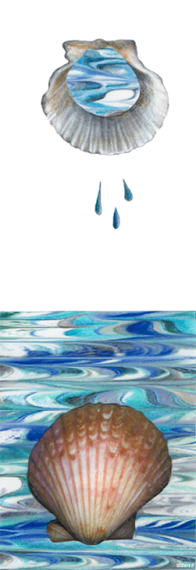 Baptismal Shell Symbols | Christian Clip Art Review