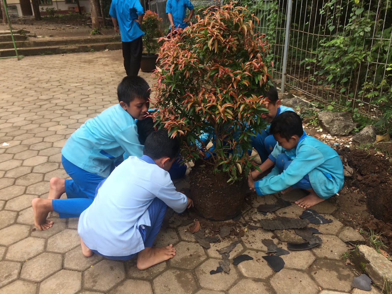 √ Cinta Alam dan Lingkungan - SD IT Nurul Iman Purwantoro