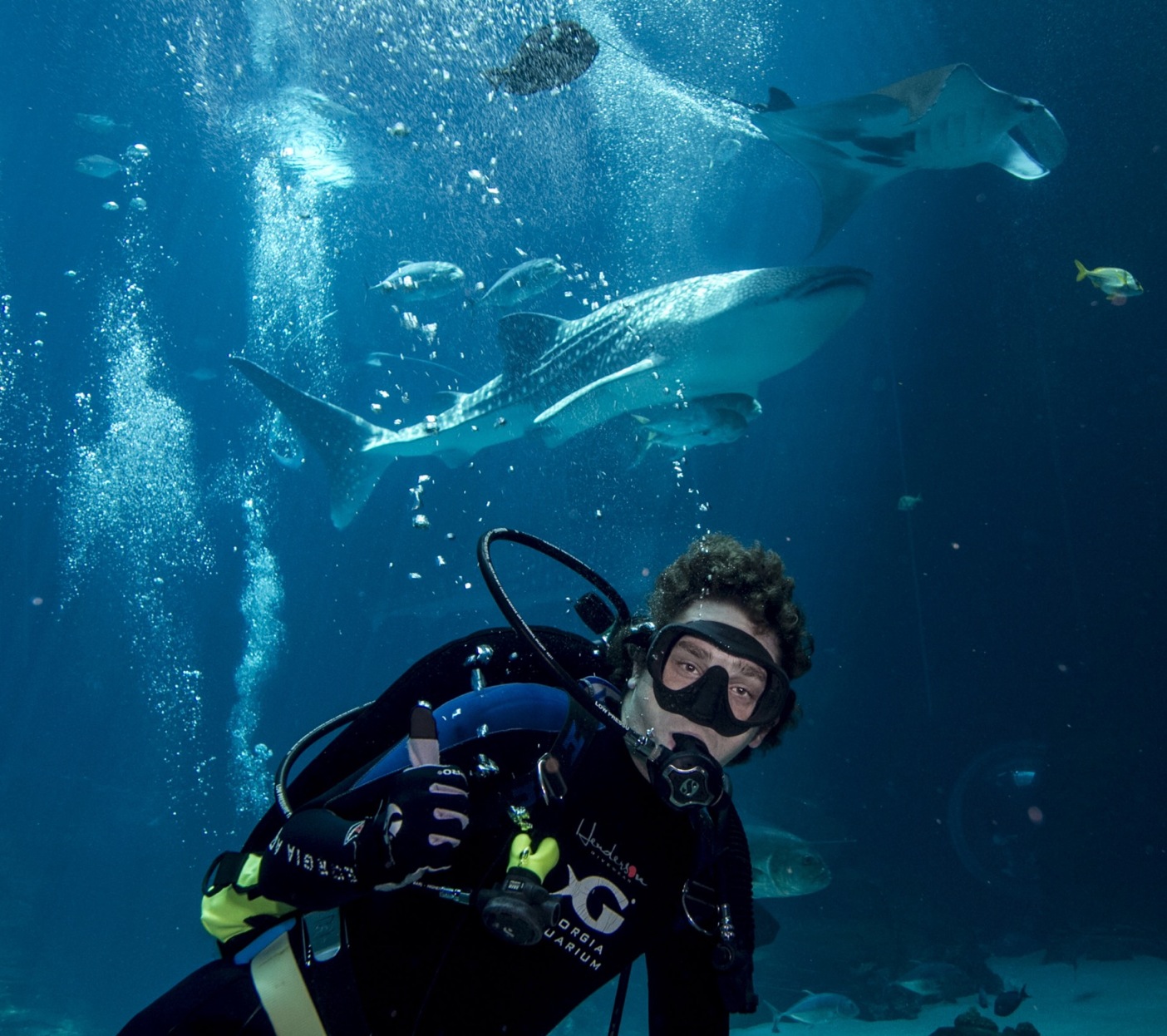 Georgia Aquarium Dive Operations: About Us! Dive Immersion Program