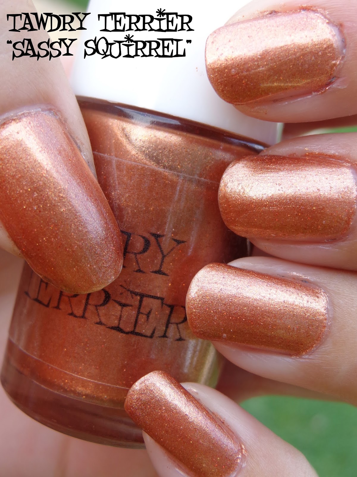 Tawdry Terrier: Tawdry Terrier "Sassy Squirrel" Sneak Peek
