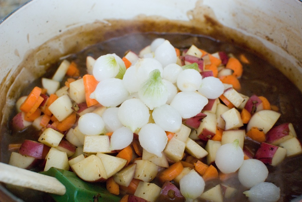 Beef Short Rib Potpie - Simply So Good