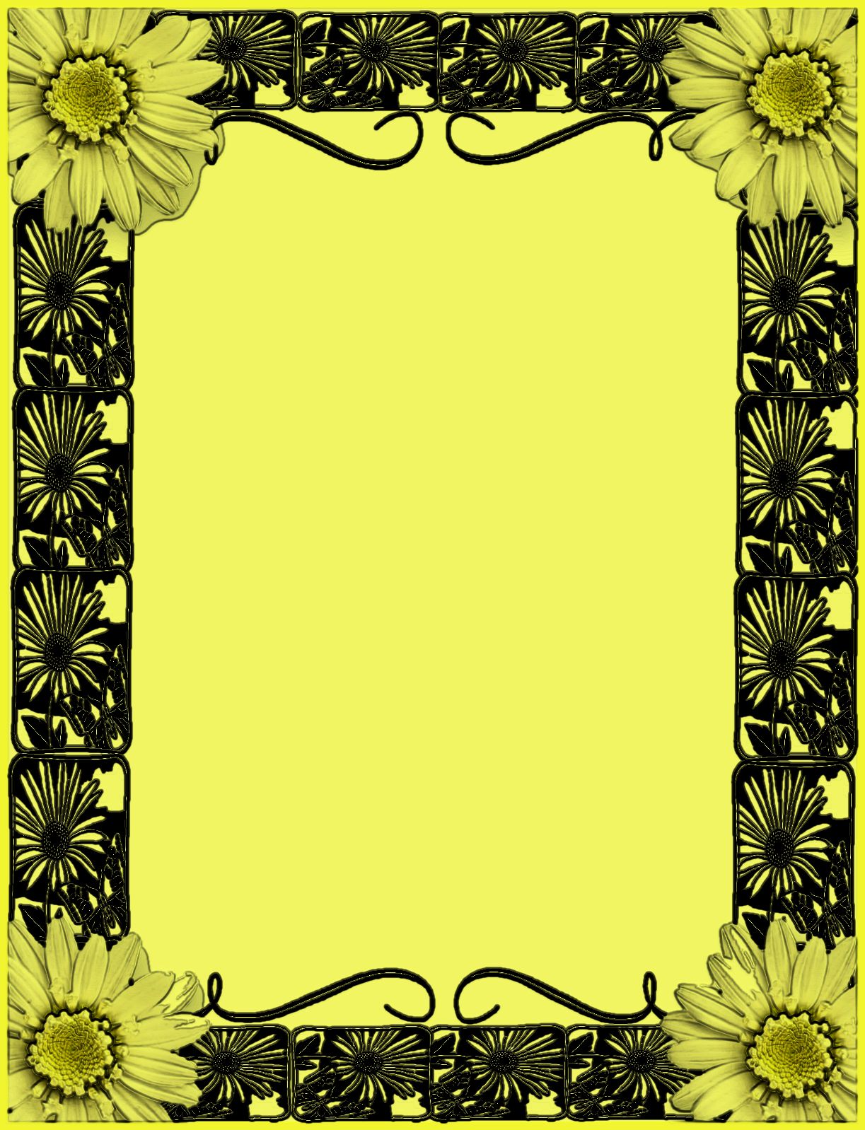 30 Beautiful Daisy Borders