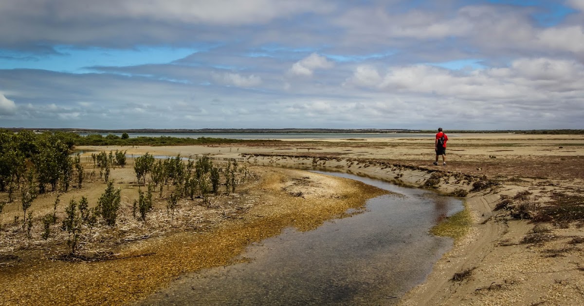 A Sunflower & Fruitbat's adventures: Day 23 - Friday 20 January - Laura ...