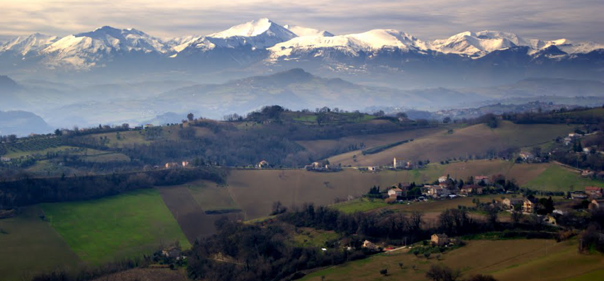 The World of Wine Review: Italy Unit 11 – Le Marche