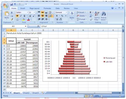 Tya Dewi Pamungkas: Membuat Grafik Piramida Penduduk di Microsoft Excel