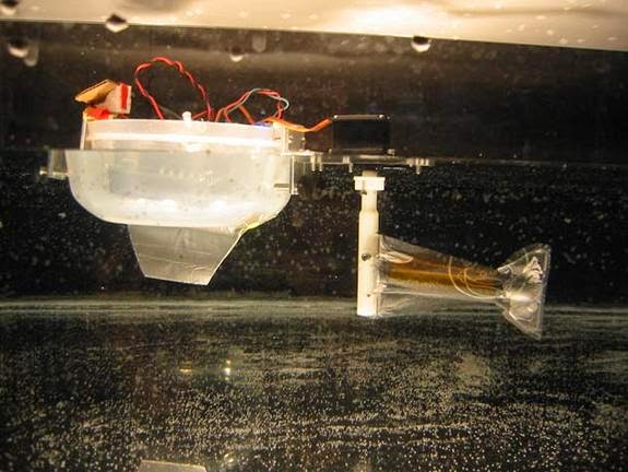 Biomimicry of Frogs - A Study of Nature's Best Ideas