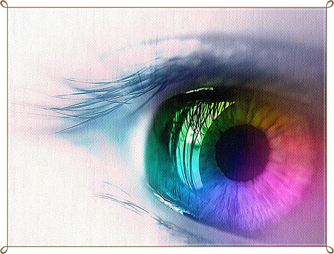 Junnyor Alves: O Poder Do Olhar