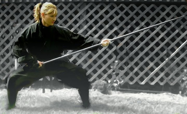 The Karate Kid Blog: Budo Ryu Ninjutsu