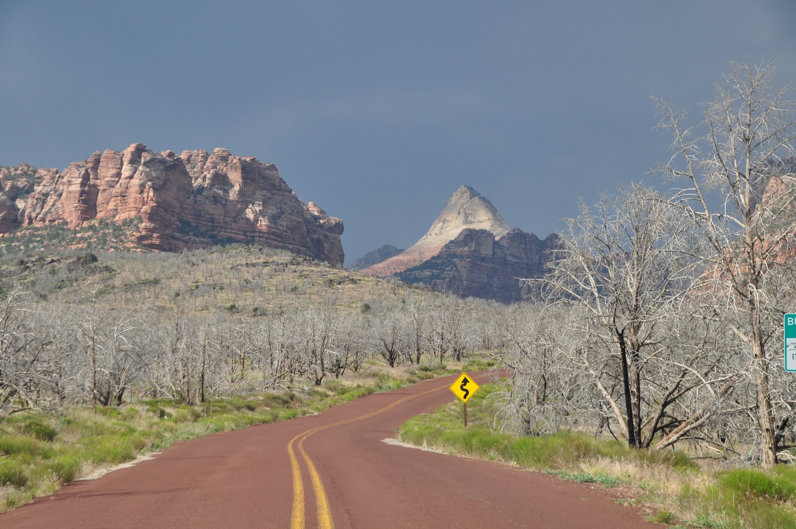 Photo and Travel Log: Zion Kolob Terrace Drive