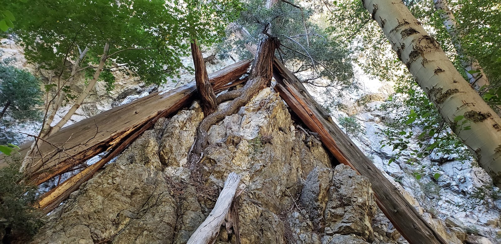 Iron Hiker: Third Stream Crossing Falls