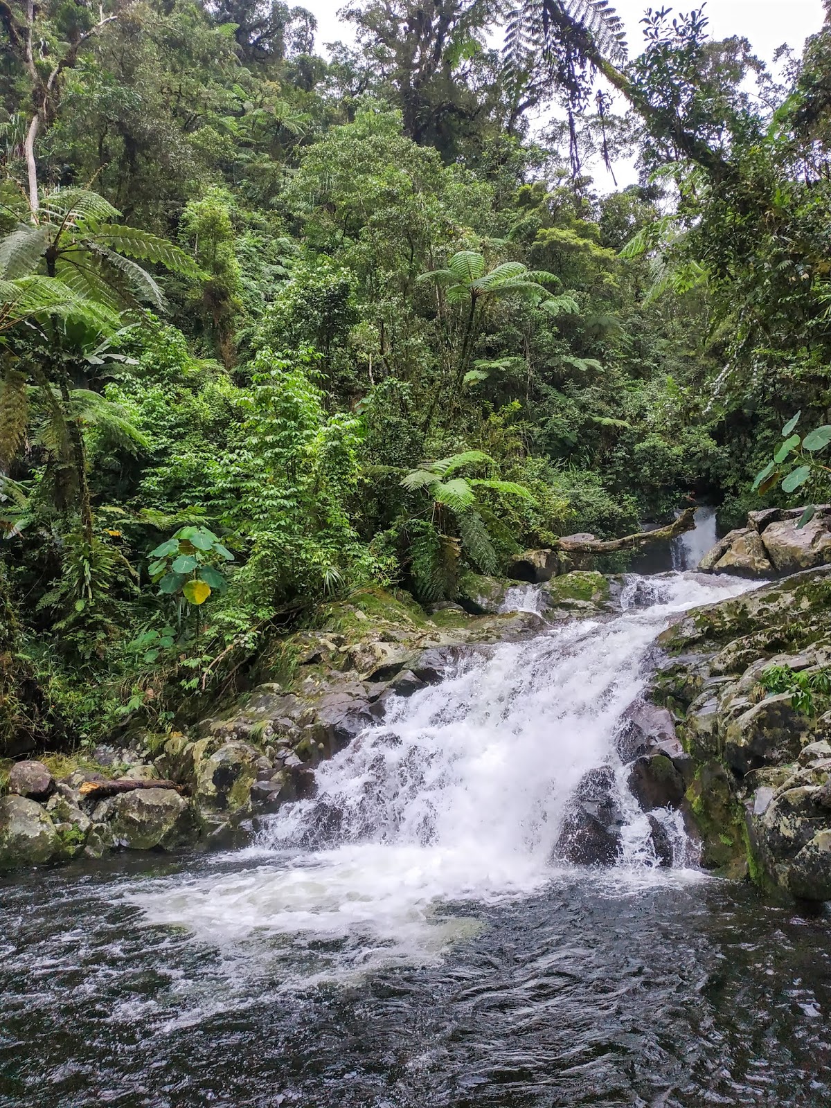 TravelBudDear: Sicao Falls, Davao City
