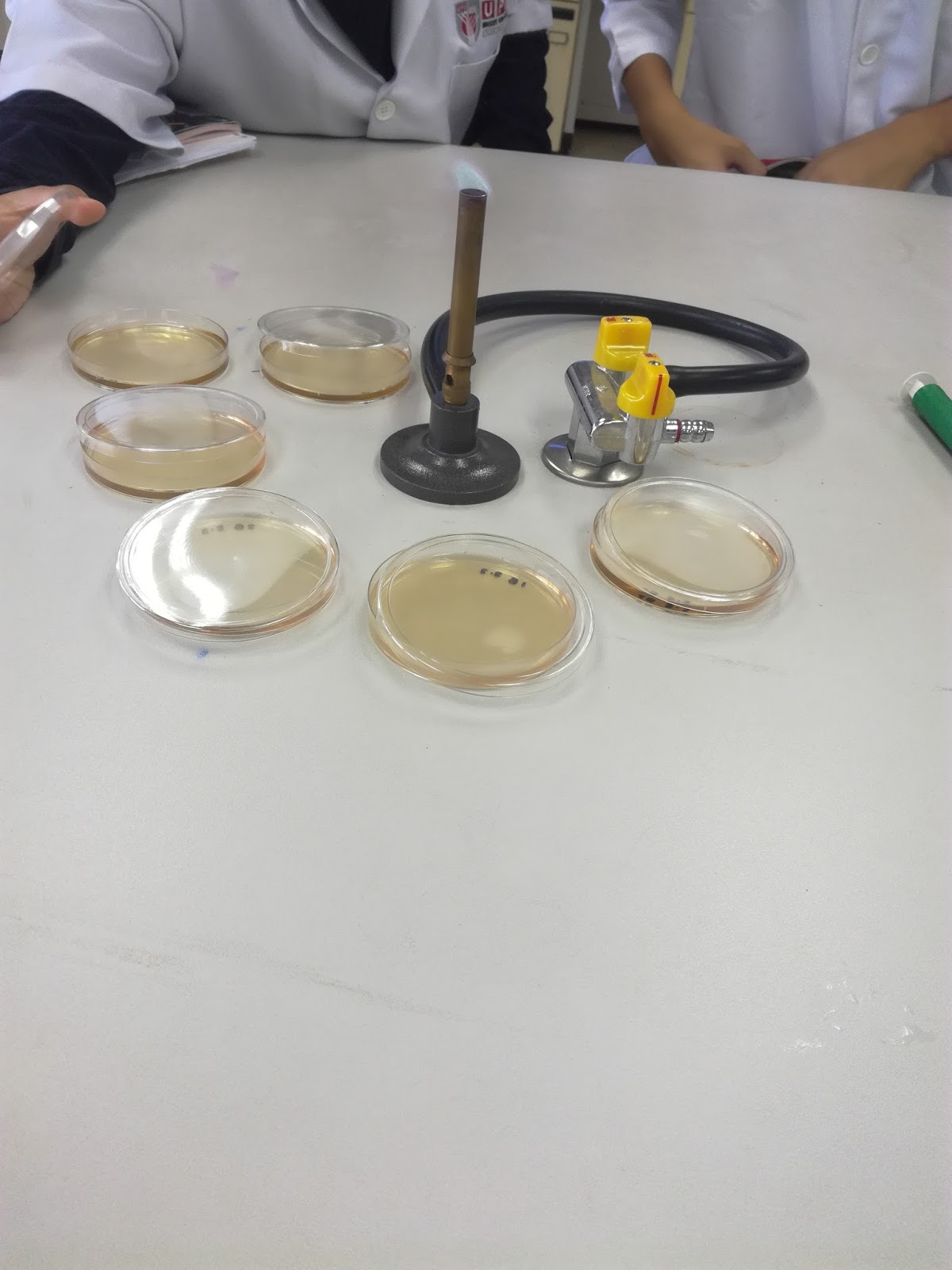 Serial Dilution - Agar Plate Procedure to Quantitate Viable Cells