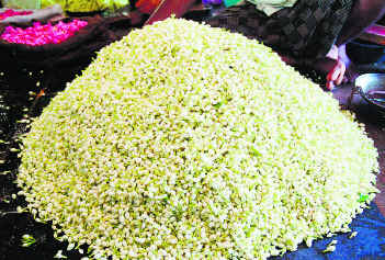 NSS EXPORTS: Madurai malligai (Jasmine flowers)