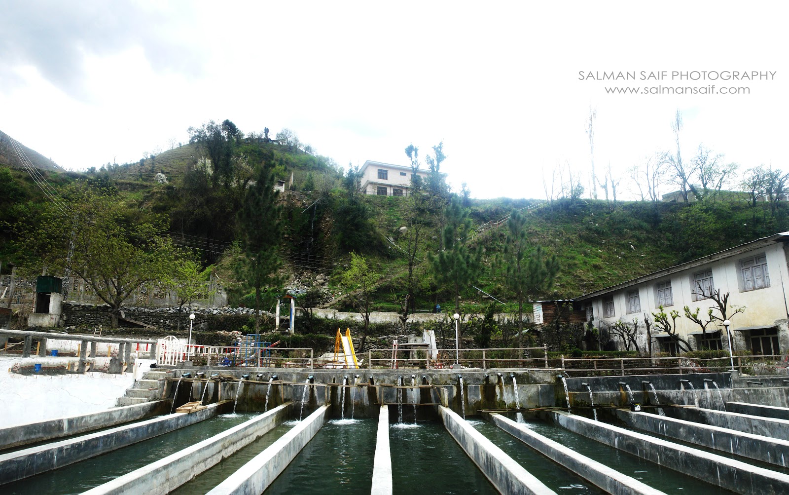 Swat trout fish industry booming again | Pakistan Defence