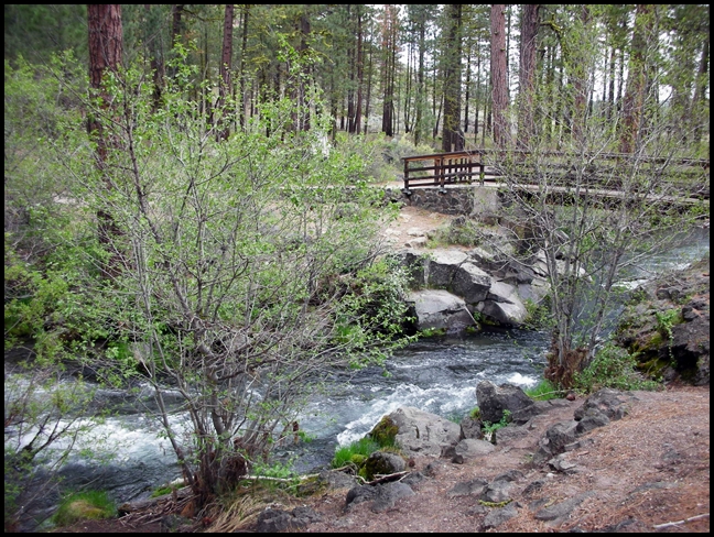 Siskiyou County Camping: Hat Creek Campground