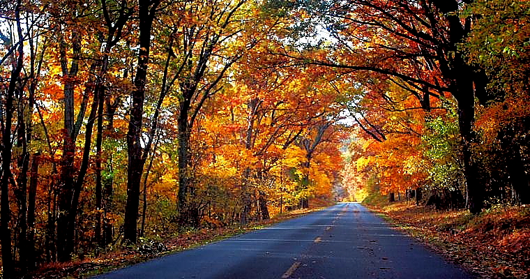 Sarah with an H: Fall Drive