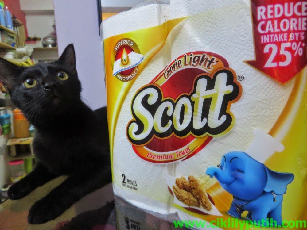 CikLilyPutih The Lifestyle Blogger: Resipi Ayam Berempah Sate Scott ...