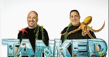 Howlin' Wolf Records: SIX STRINGS: Cinedigm: Animal Planet’s Tanked ...