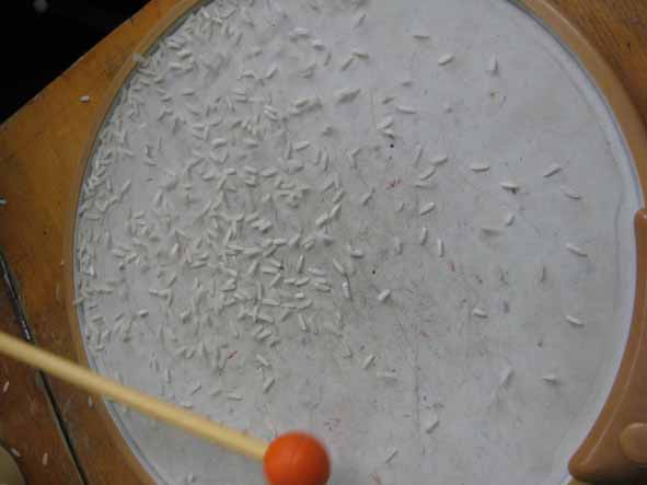 Room 4 Lawrence Area School: Sound experiments