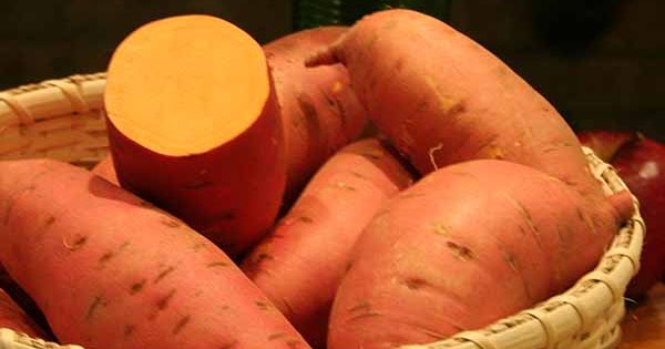 Khasiat Keledek Oren Rebus Dalam Diet Sihat