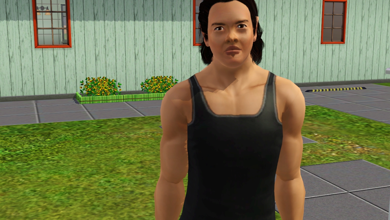 Sim Confusion: Sims 3 - Bloodsport II (Jared Frio versus Chong Li ...