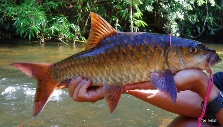 Cuti - Cuti Malaysia Perak: Attractive places to visit in Perak