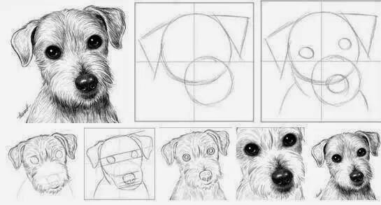 Comment dessiner un chien ? - Idées Fait Main