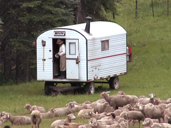 Heroes, Heroines, and History: Colorado Sheep Camps