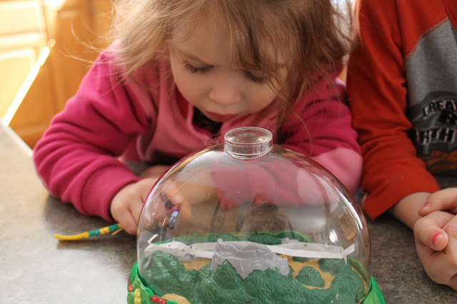 Fingerprint Lady Bug Life Cycle Craft ~ Reading Confetti