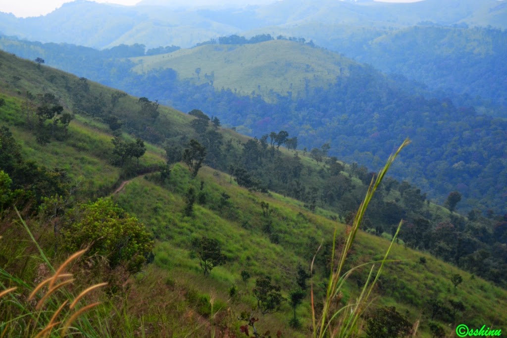 Nature Enthus - DLC : Memari – The Isle Of Seclusion