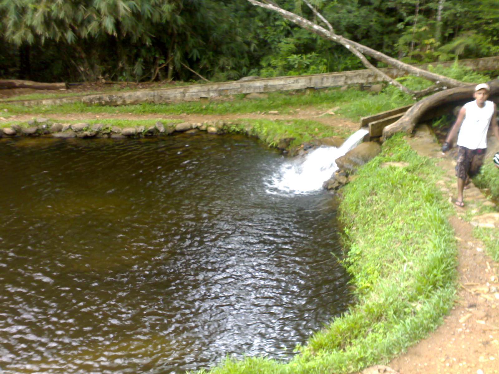 SARELI - සරැළි: Duli Ella fall at Neluwa - දුලි ඇල්ල - සිංහරාජ රක්ෂිතය.
