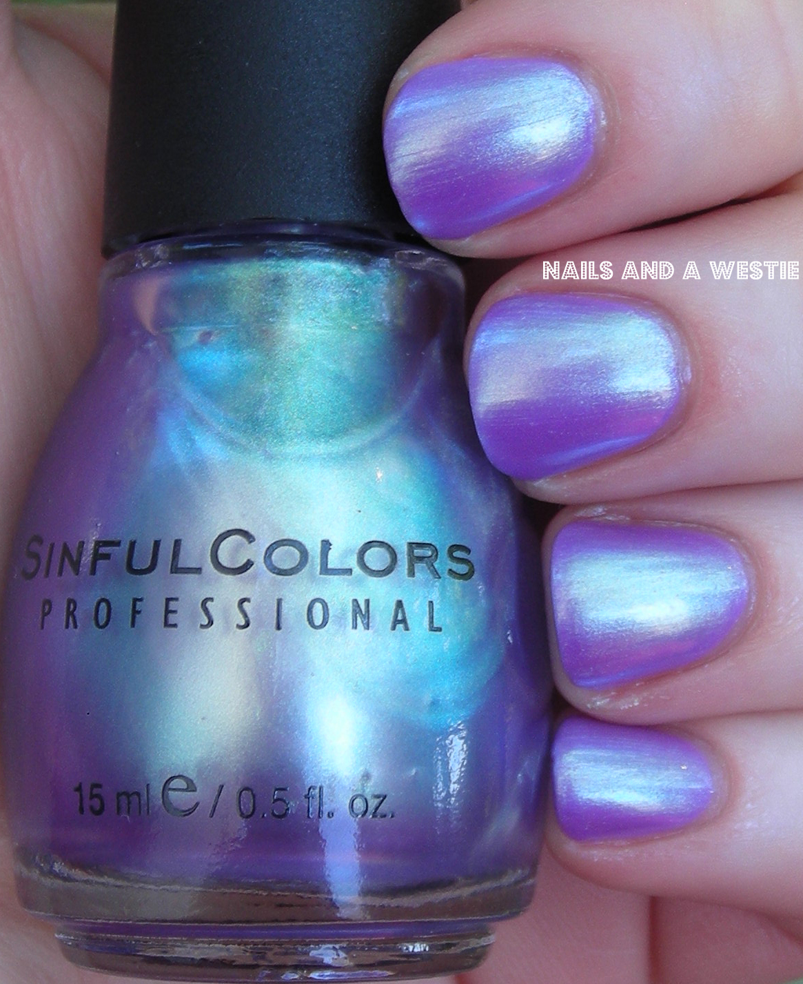 Nails and a Westie: Sinful Colors - Let Me Go