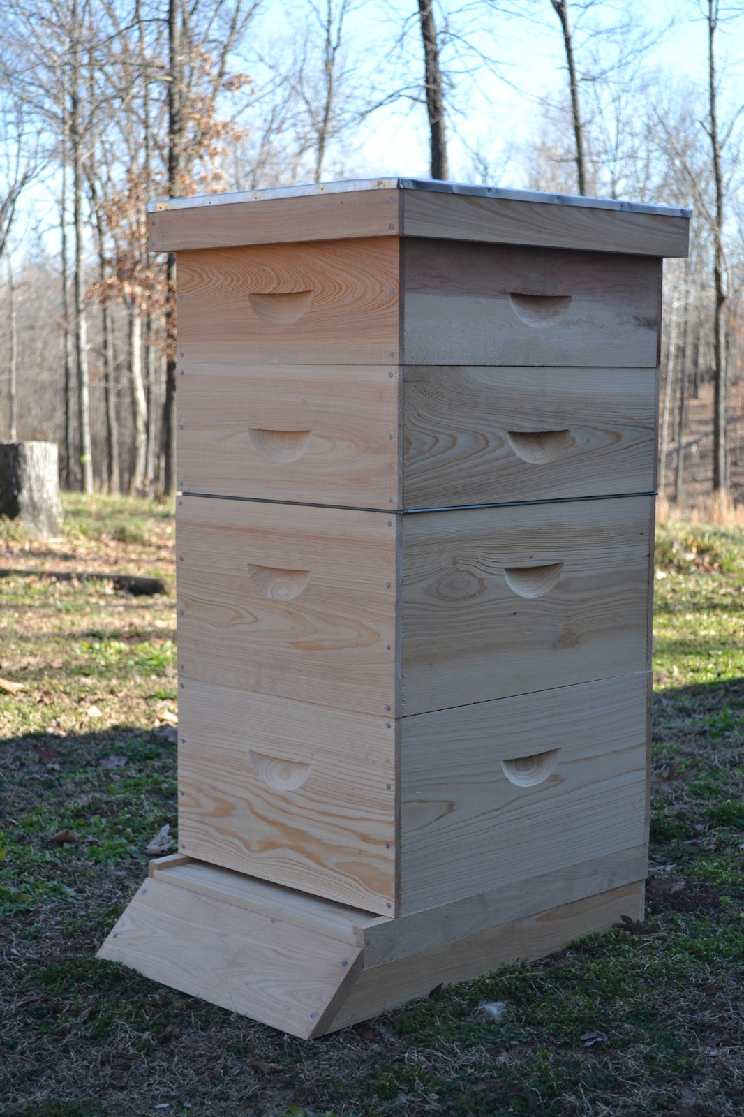 Our Neck of the Woods: How To Get Started With Beekeeping