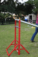 Tips, Tricks, and Training: Using The Tip Assist To Improve Teeter ...