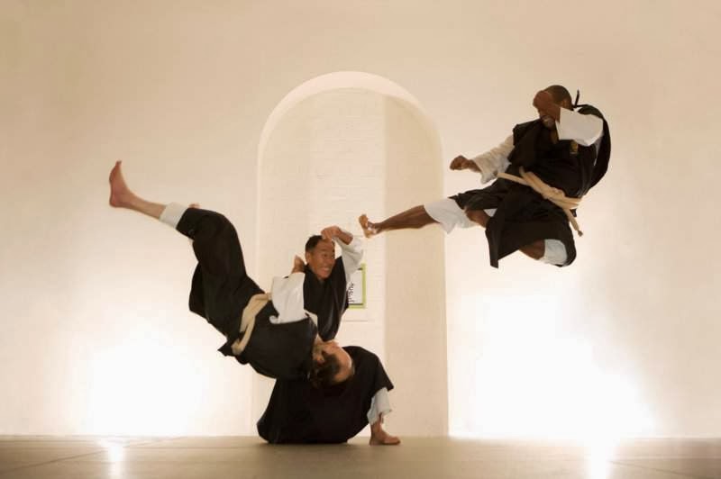 Shorinji Kempo - Lo Shaolin del Giappone | IL TAO DEL GUERRIERO