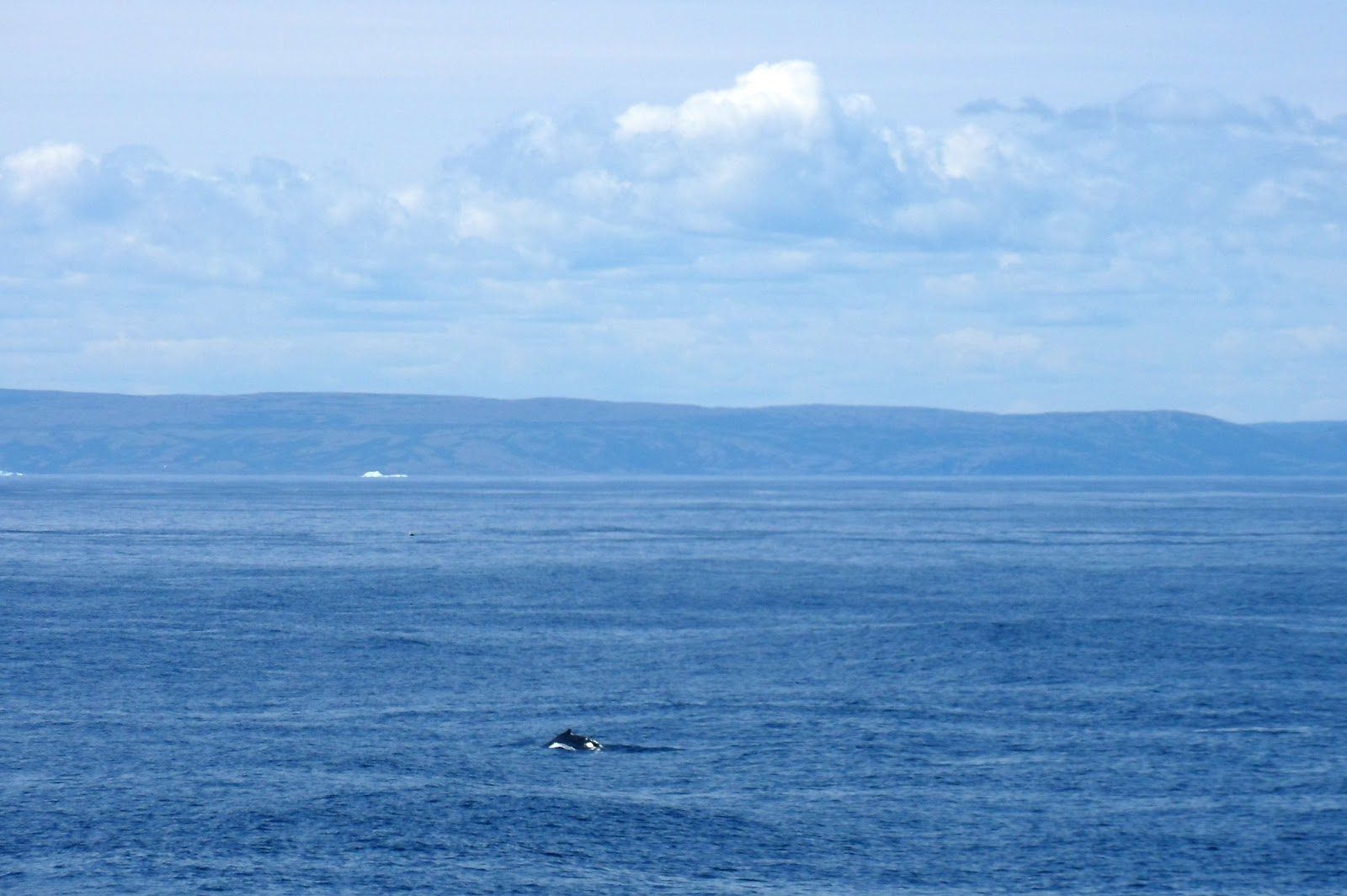 Newfoundland and Labrador trip: Strait of Belle Isle; Battle Harbour ...