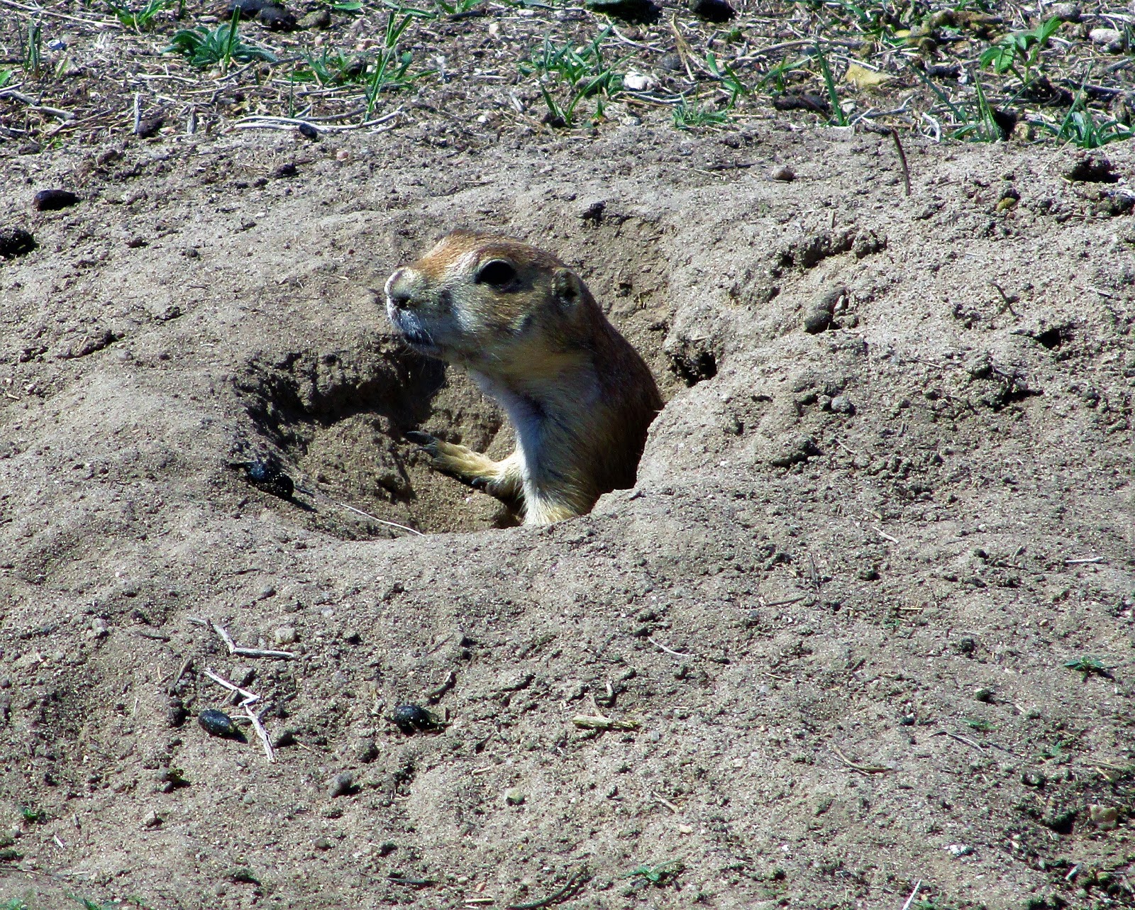 Read All The Things!: Reading And Walking: From The Mixed-Up Files Of ...